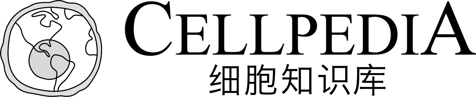 Cellpedia 细胞知识网 4024